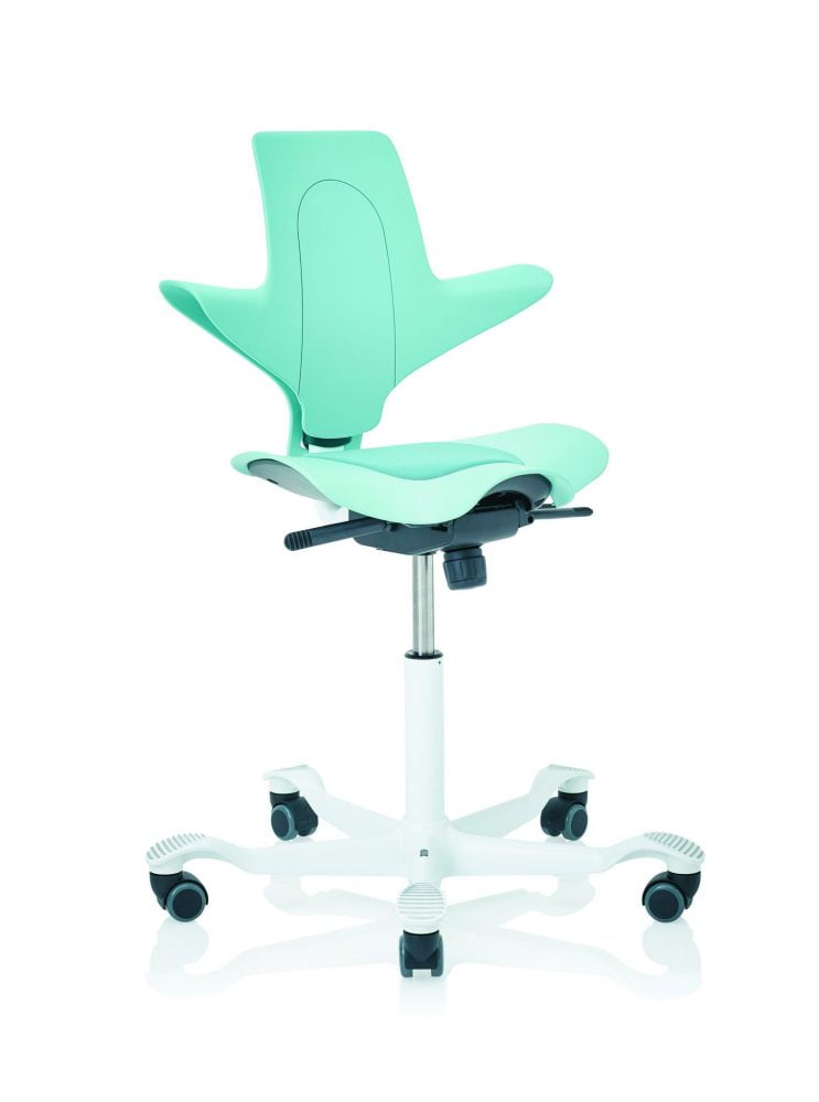 Hag Capisco Puls 8020 | Backworld