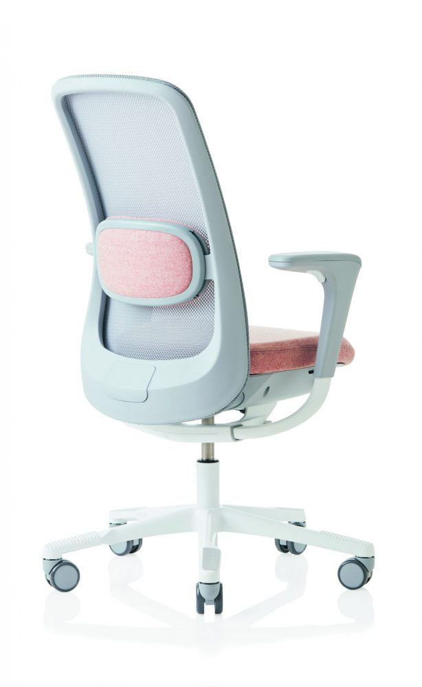 Hag Sofi Mesh | Backworld