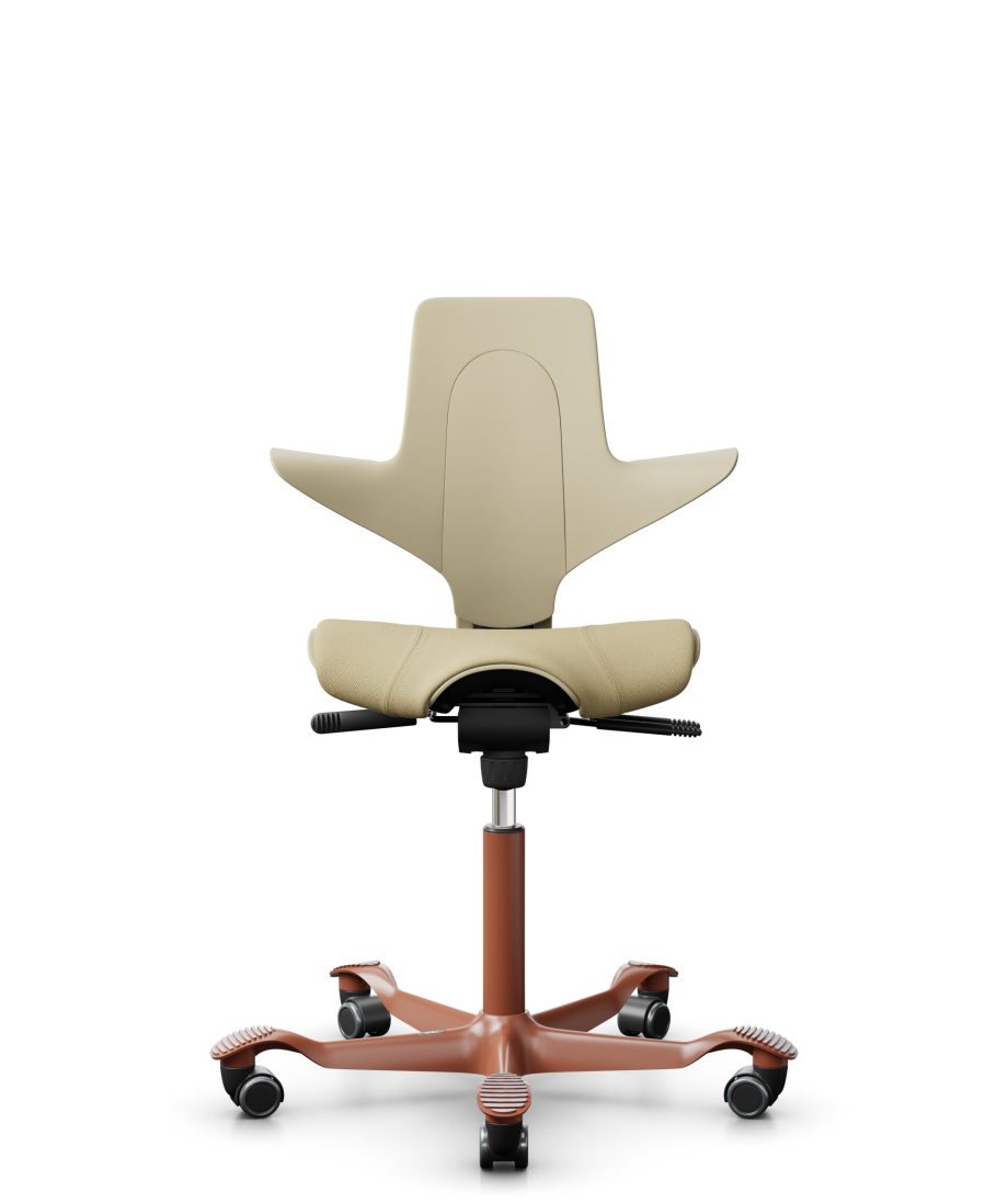 Hag Capisco Puls 8020 | Backworld